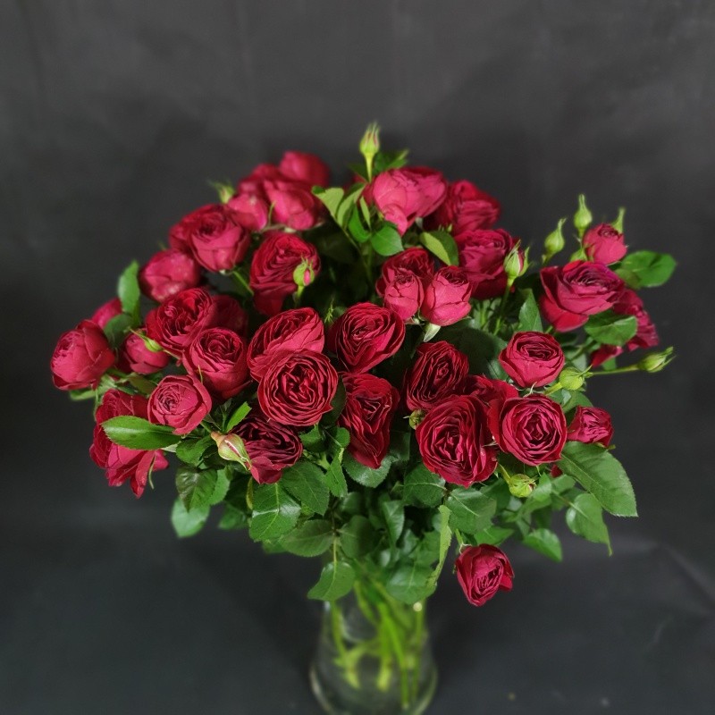 Red Spray roses 60cm